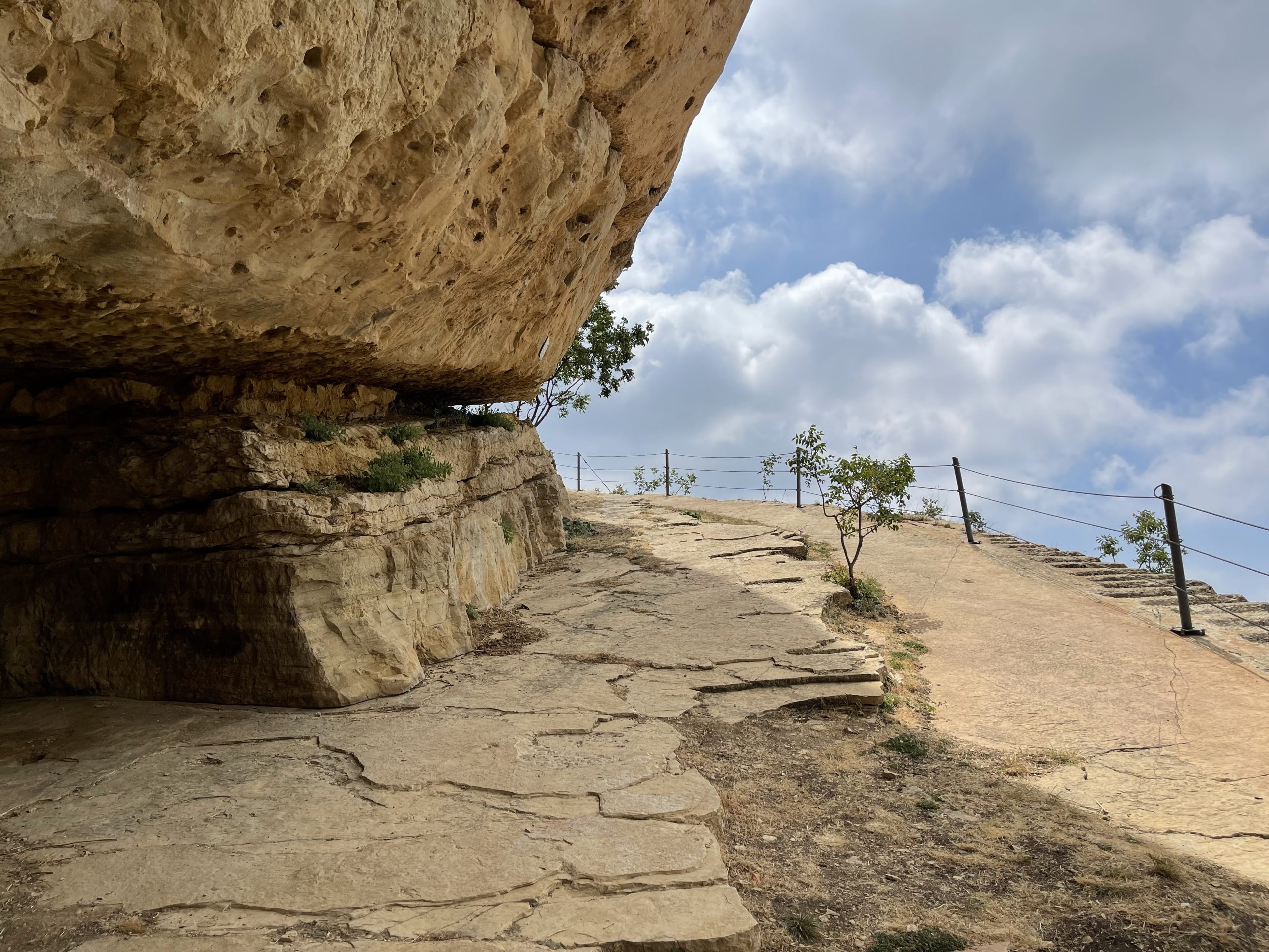 THE LAST PRINCE OF LEBANON - Ziad Matta